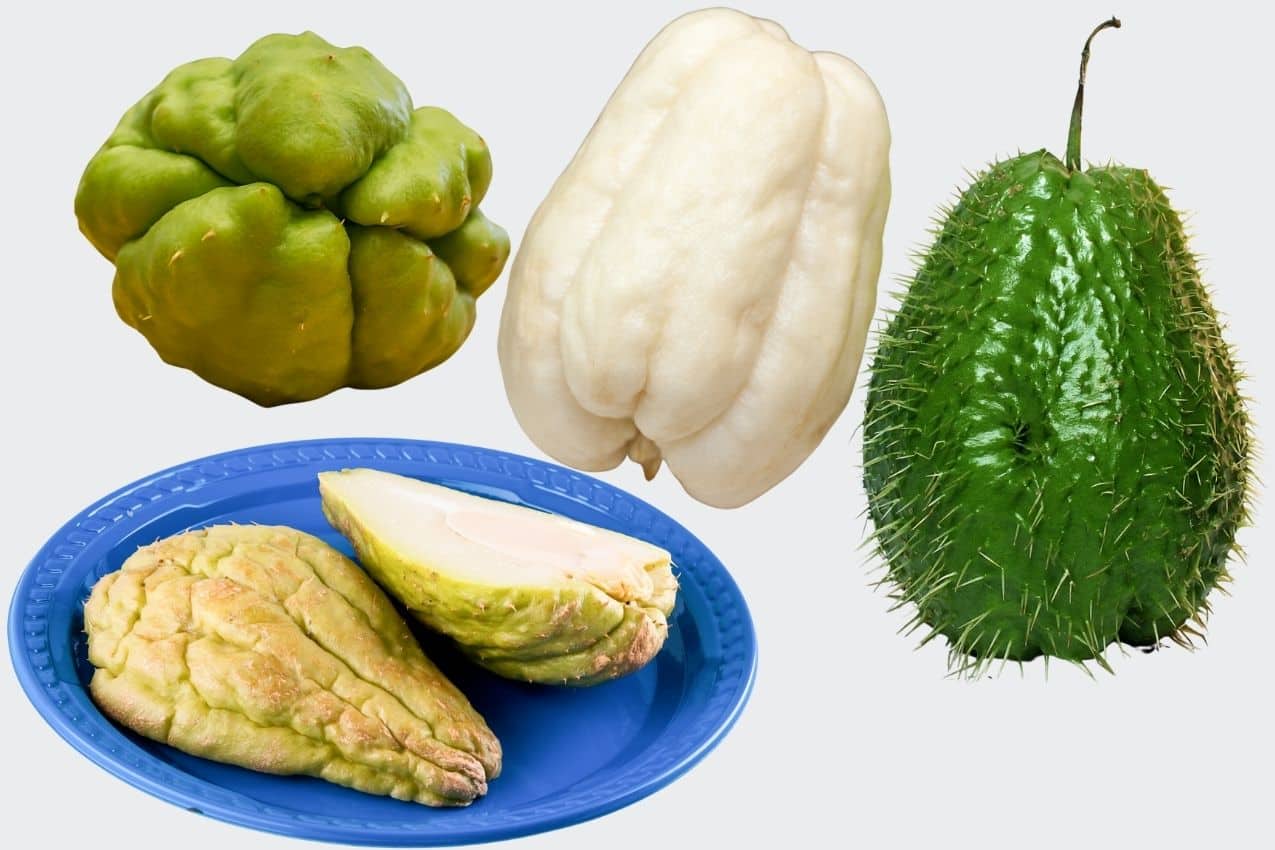 Cristophine, chayote ou chouchou : un superaliment aux bienfaits étonnants